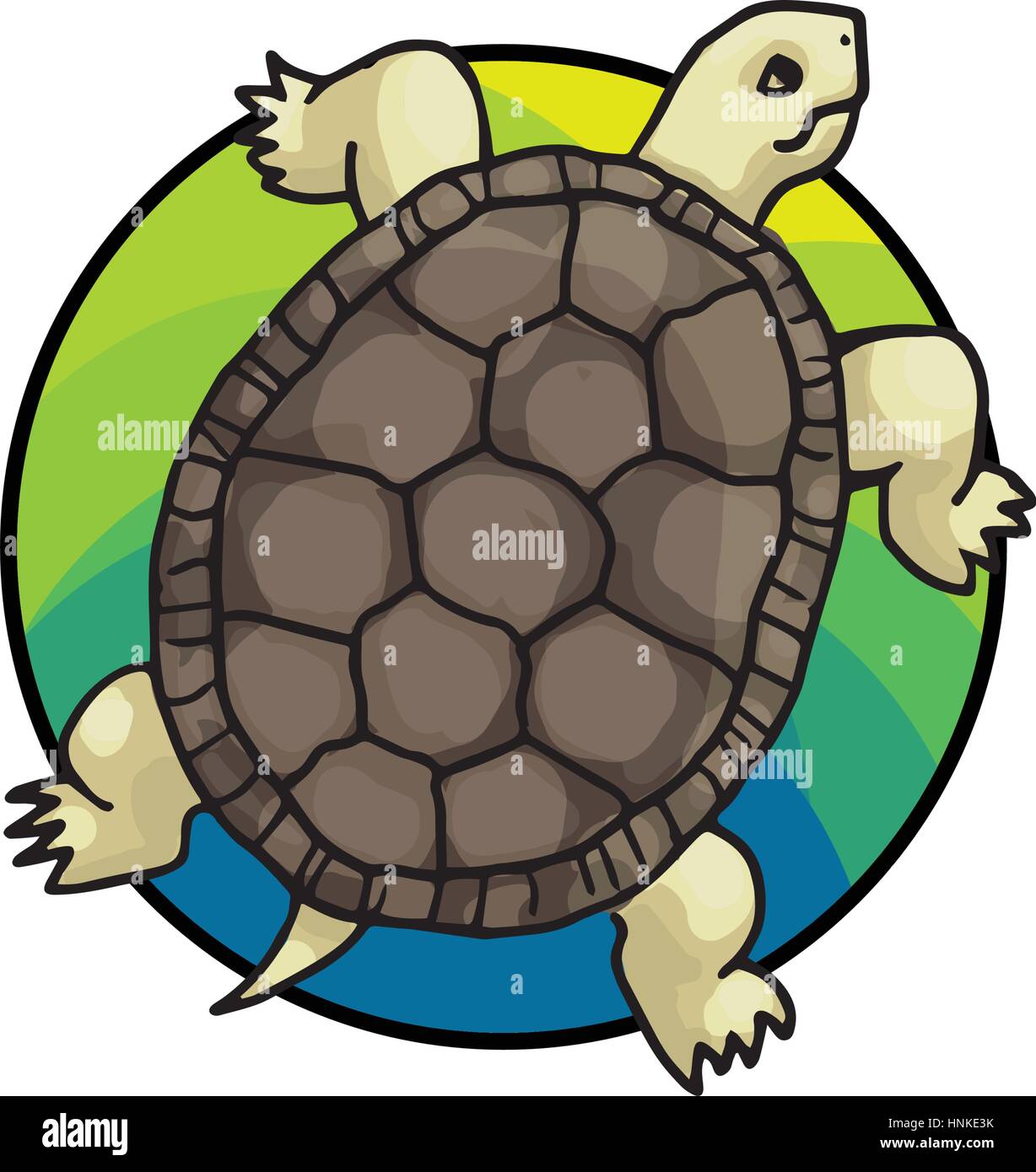 Pet Turtle Clipart