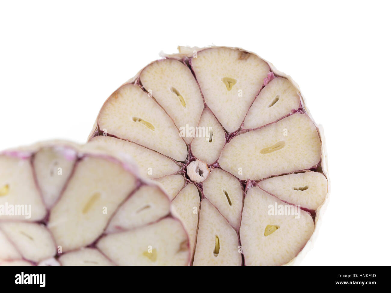 A head of garlic, Allium sativum, cut on the cross section Stock Photo ...