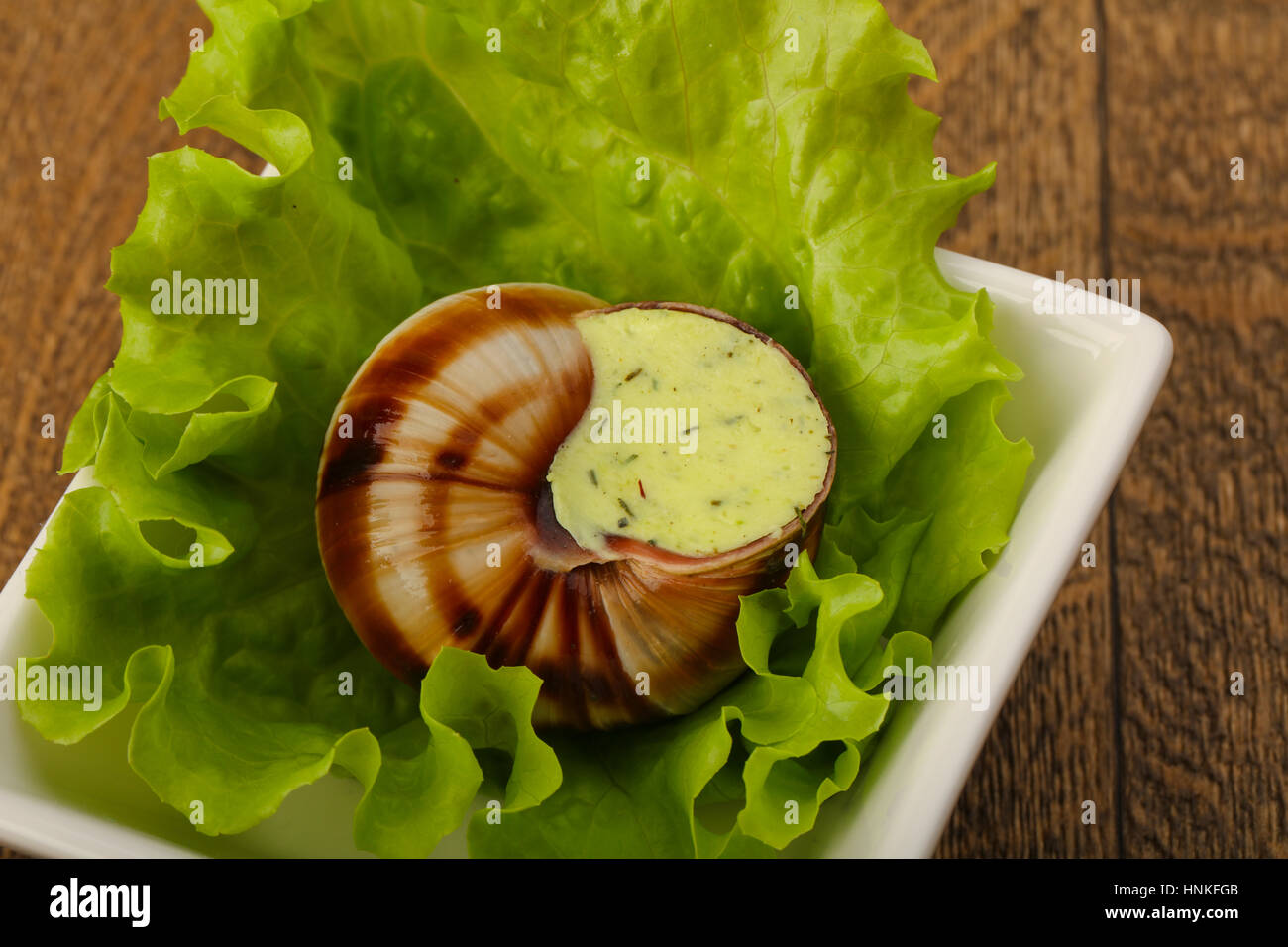 Escargot with cheese cream on salad leaves Stock Photo - Alamy