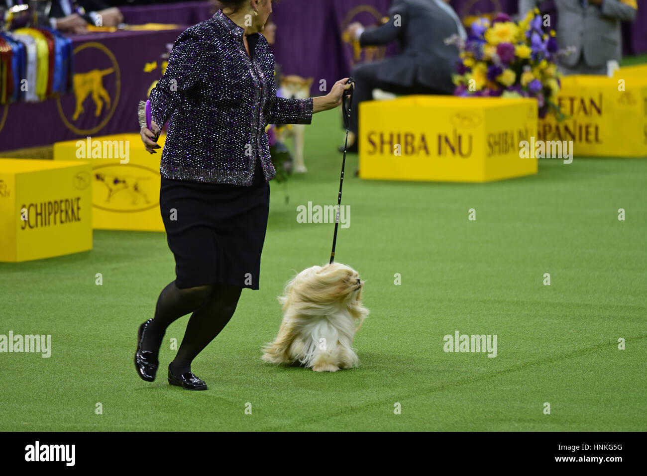 Westminster dog show handlers hi-res stock photography and images - Alamy