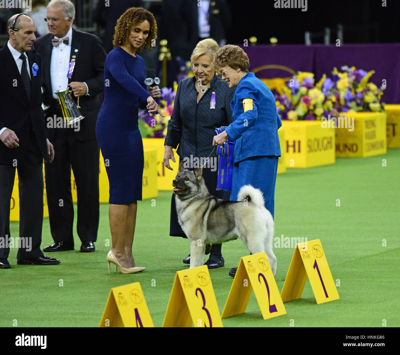 Westminster dog show handlers hi-res stock photography and images - Alamy