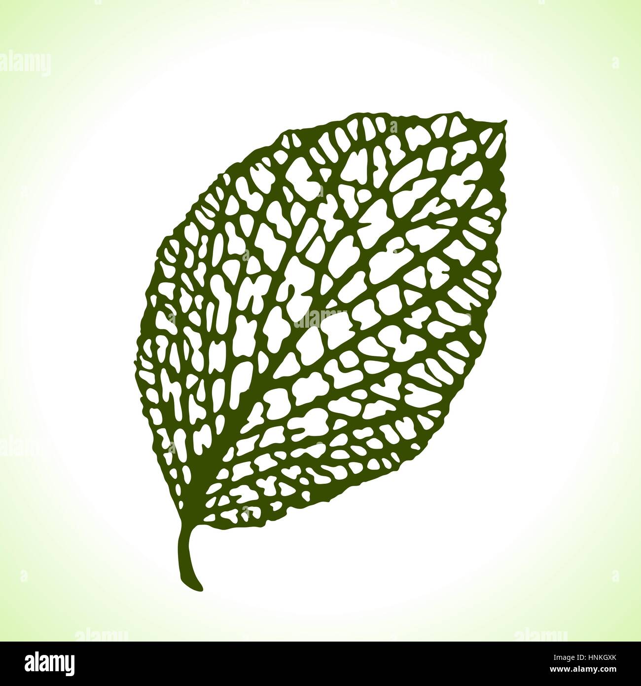 Decorative leaf isolated. Natural detailed macro illustration Stock ...