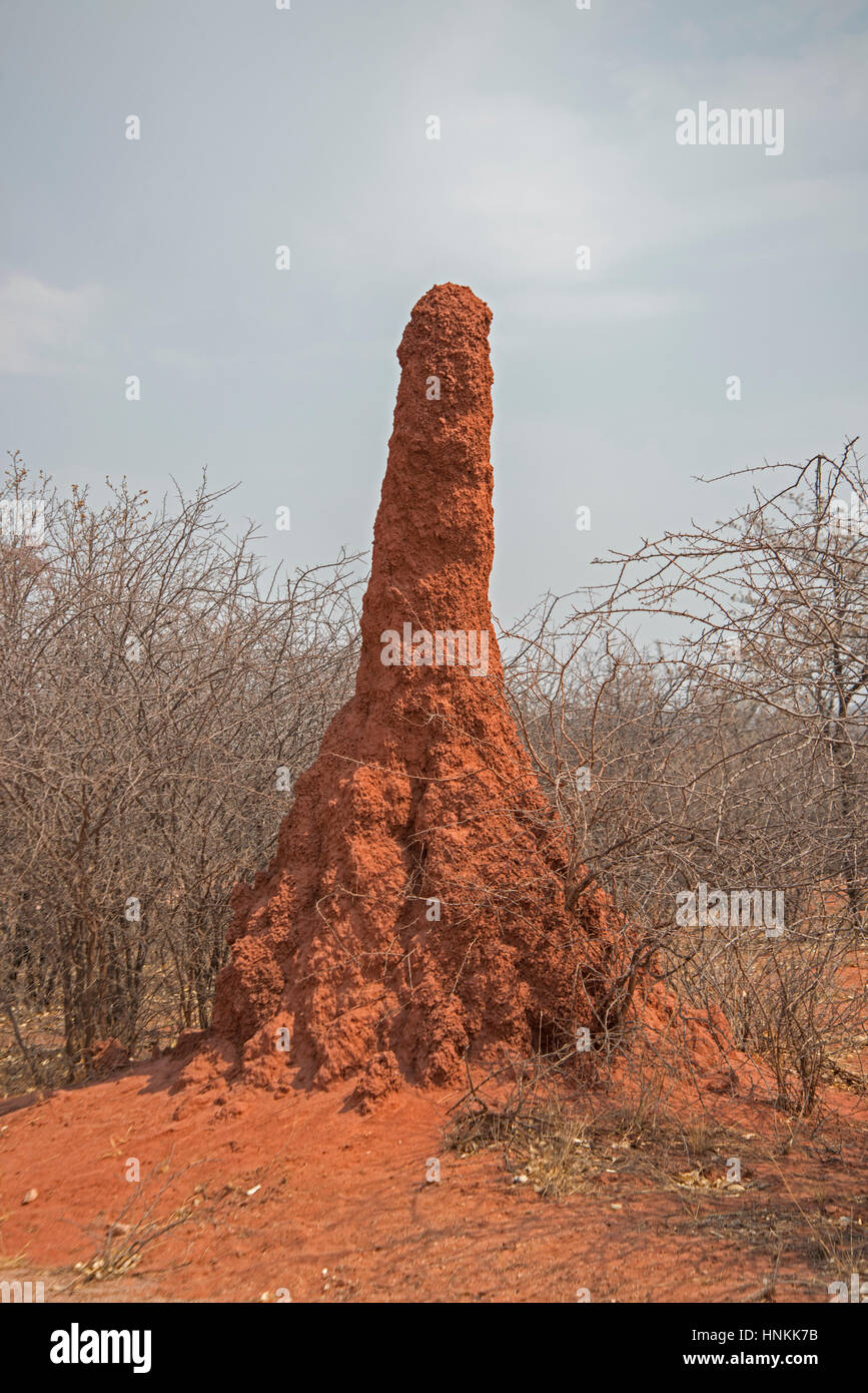 Termite mound, Namibia Stock Photo - Alamy