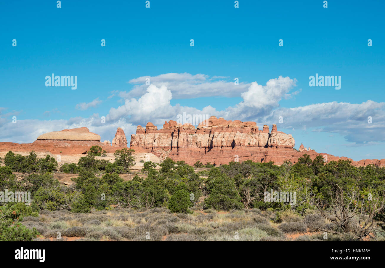 Pinnacles, rock formations The Needles District, Canyonlands National ...