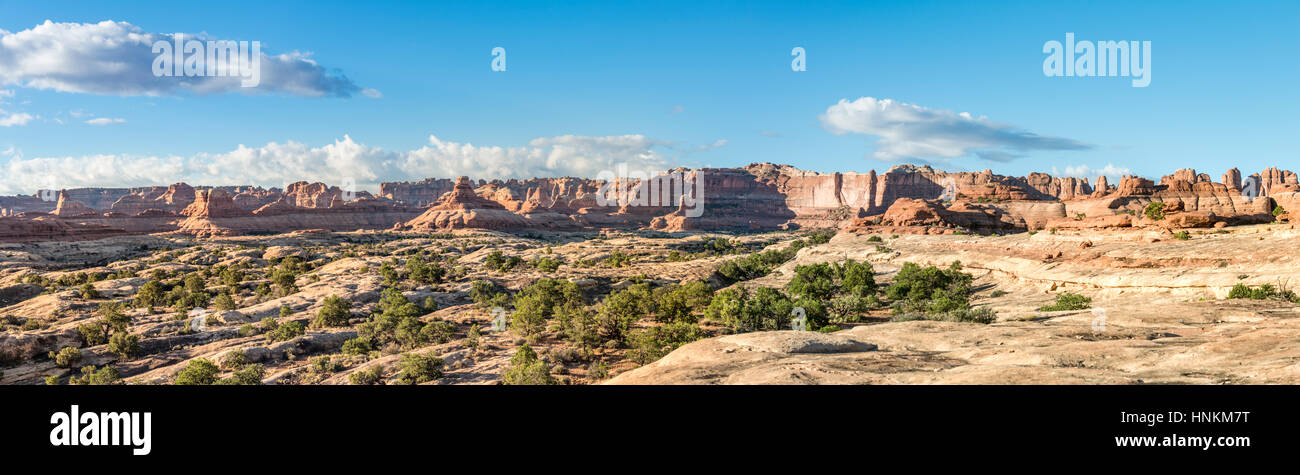 Pinnacles, rocky plateau, rock formations The Needles District ...
