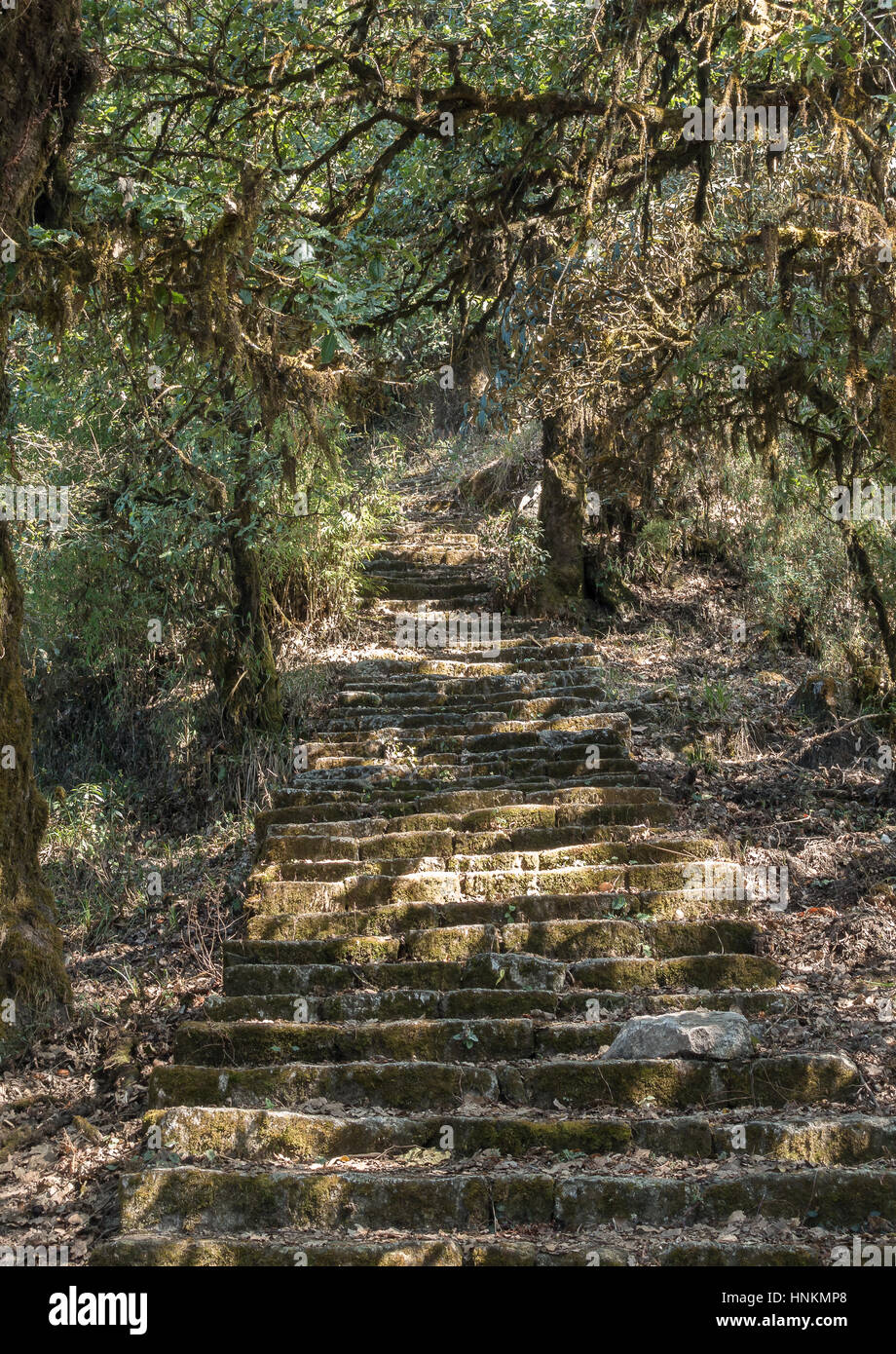 Shivapuri National Park, Himalaya Stock Photo - Alamy