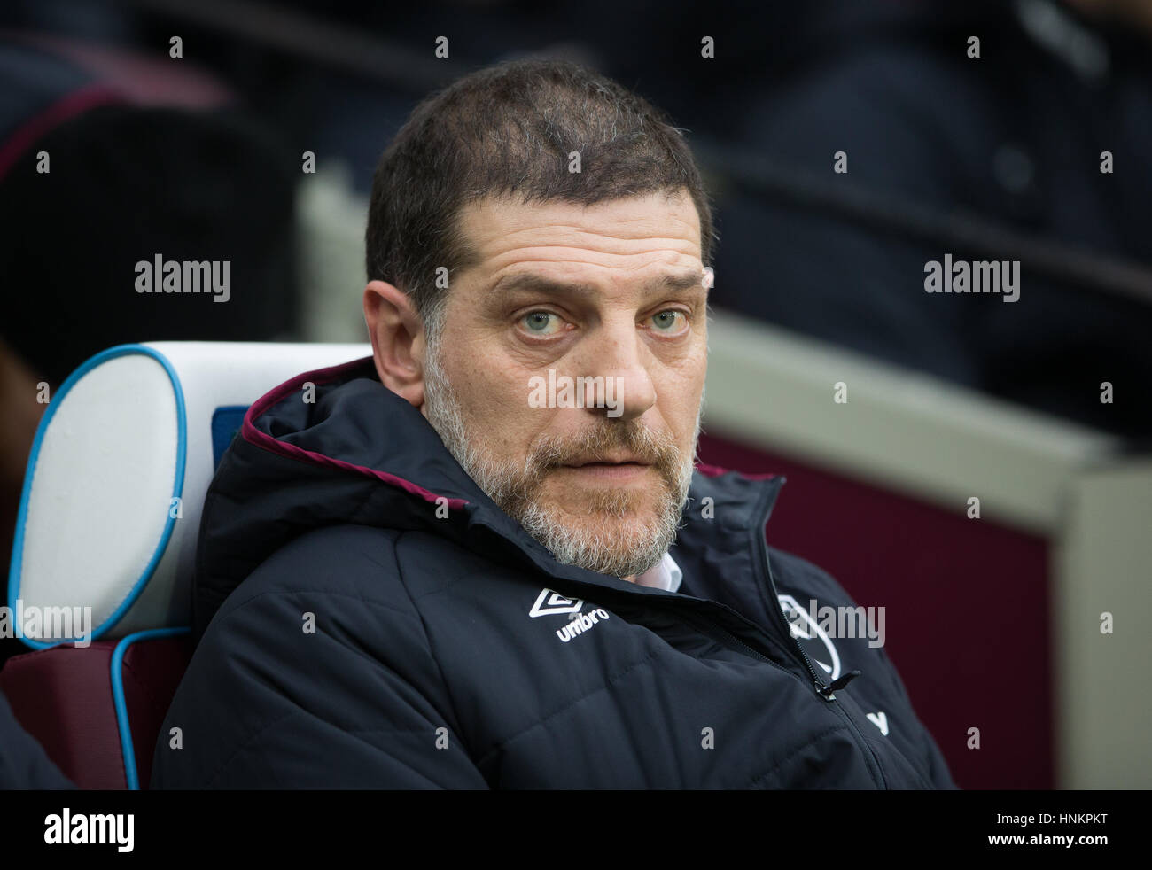 Slaven bilic portrait hi-res stock photography and images - Alamy