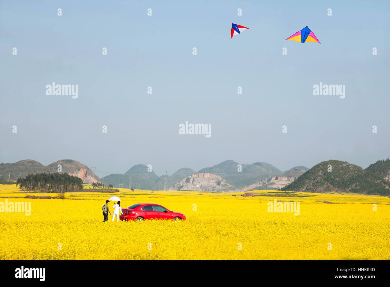 Rape fields in Luoping County, Yunnan Province, China Stock Photo - Alamy