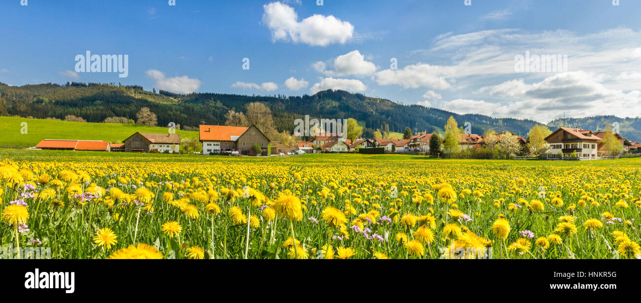 Panorama beautiful houses meadow hi-res stock photography and images ...