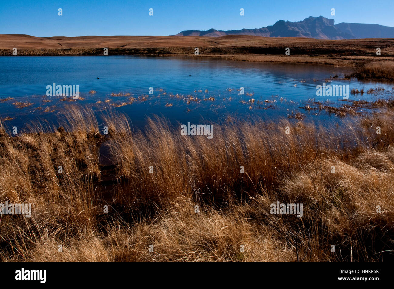 Scenes from Giants Castle area of Drakensberg mountain range ...