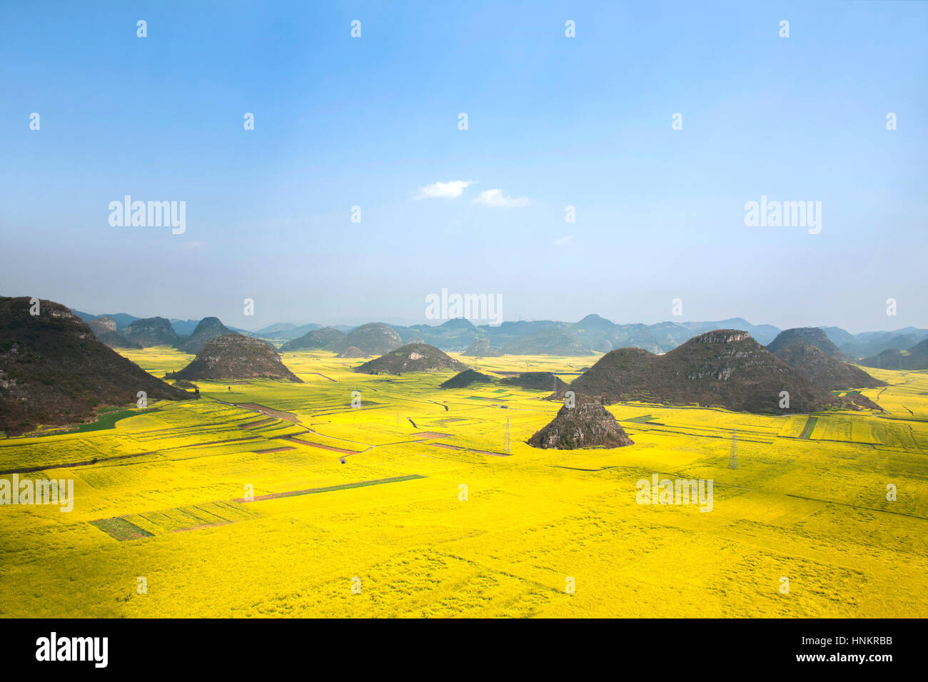 Rape fields in Luoping County, Yunnan Province, China Stock Photo - Alamy