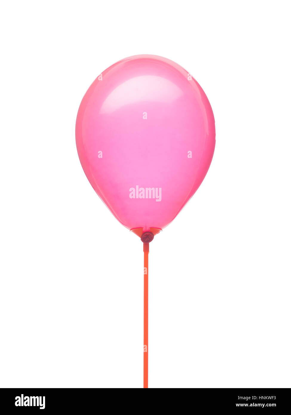 dark pink balloon on a stick on white background Stock Photo - Alamy