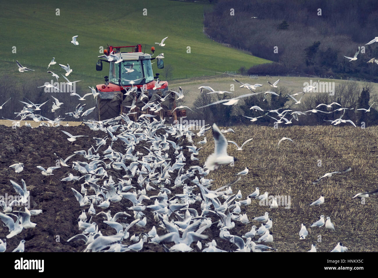 Farmer ploughing field tractor hi-res stock photography and images - Alamy