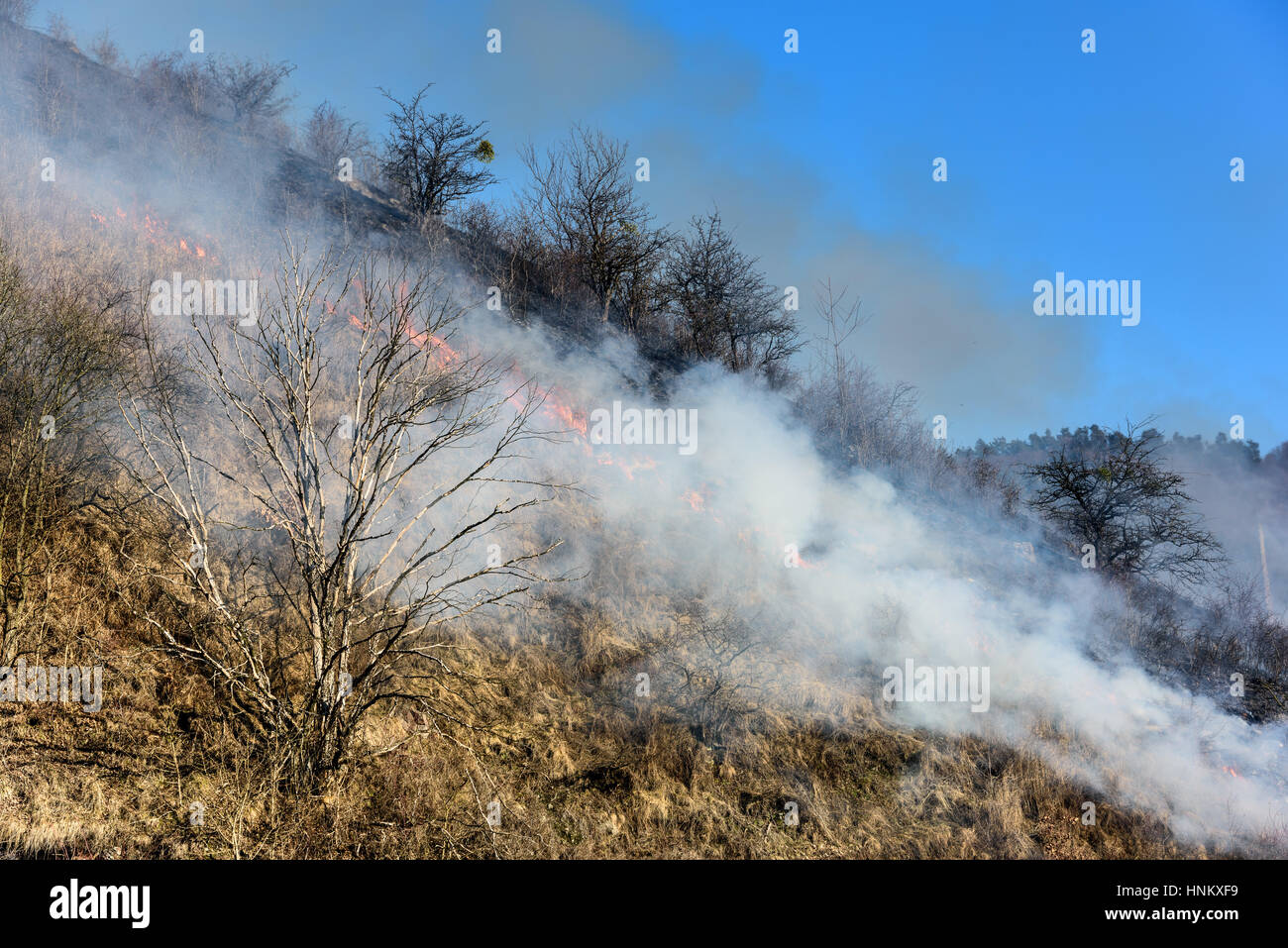 Danger pollution hi-res stock photography and images - Alamy
