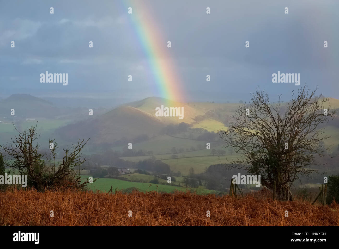 A rainbow over Lawn Hill, seen from the Hollies Nature Reserve, the ...