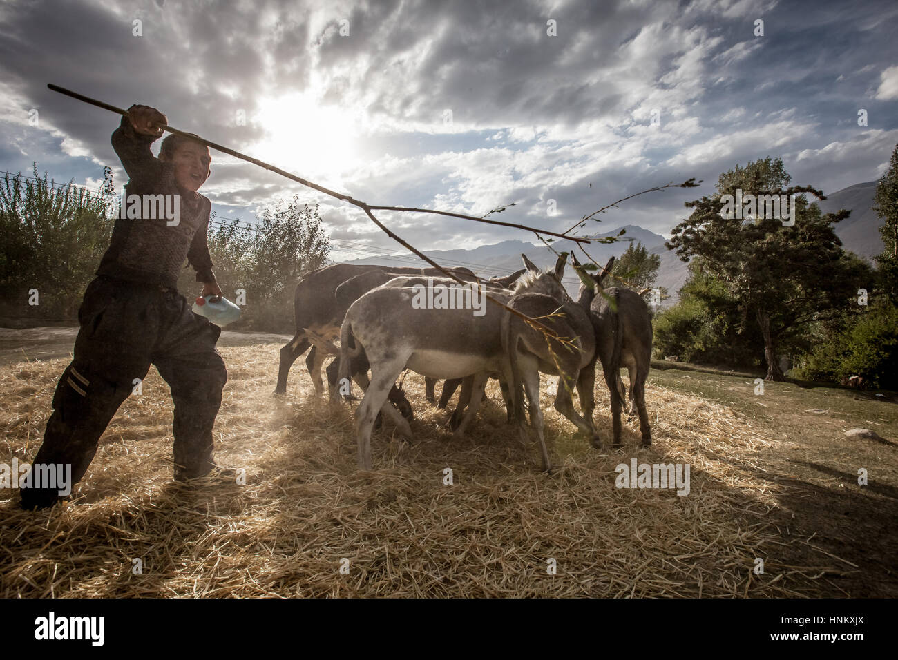 Donkeys afghanistan hi-res stock photography and images - Alamy