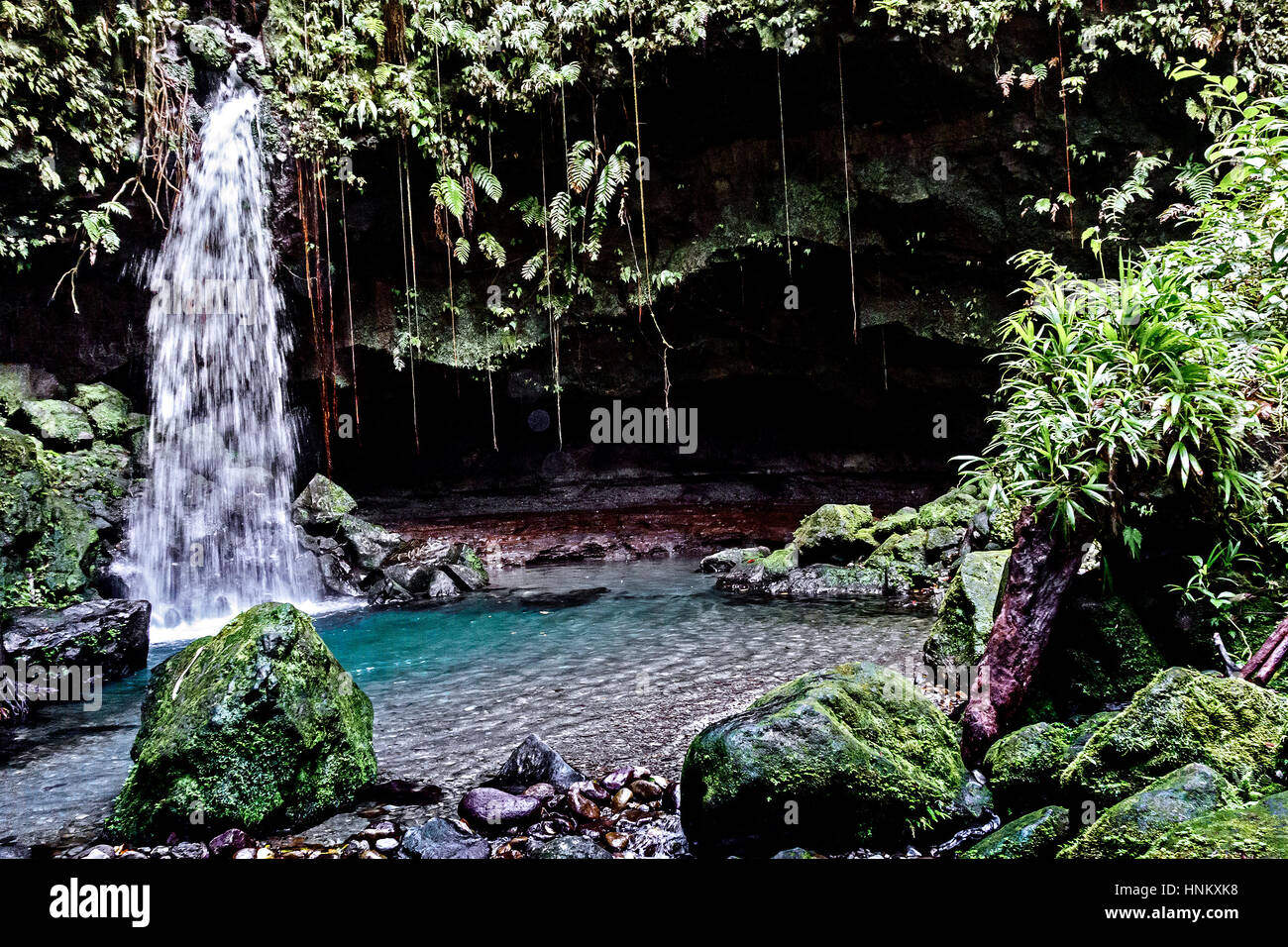 Dominica waterfall emerald pool hi-res stock photography and images - Alamy