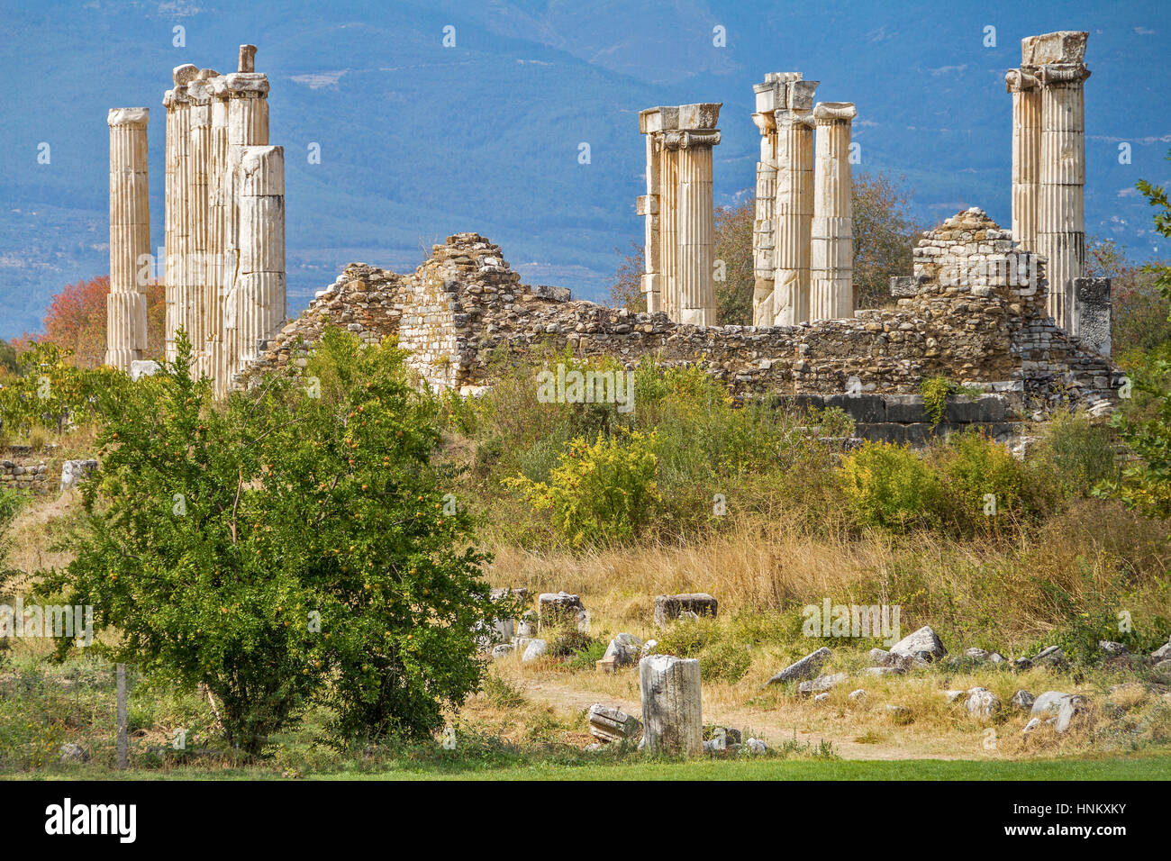 The Ancient Ruined City Of Aphrodisias, Anatolia Turkey Stock Photo - Alamy