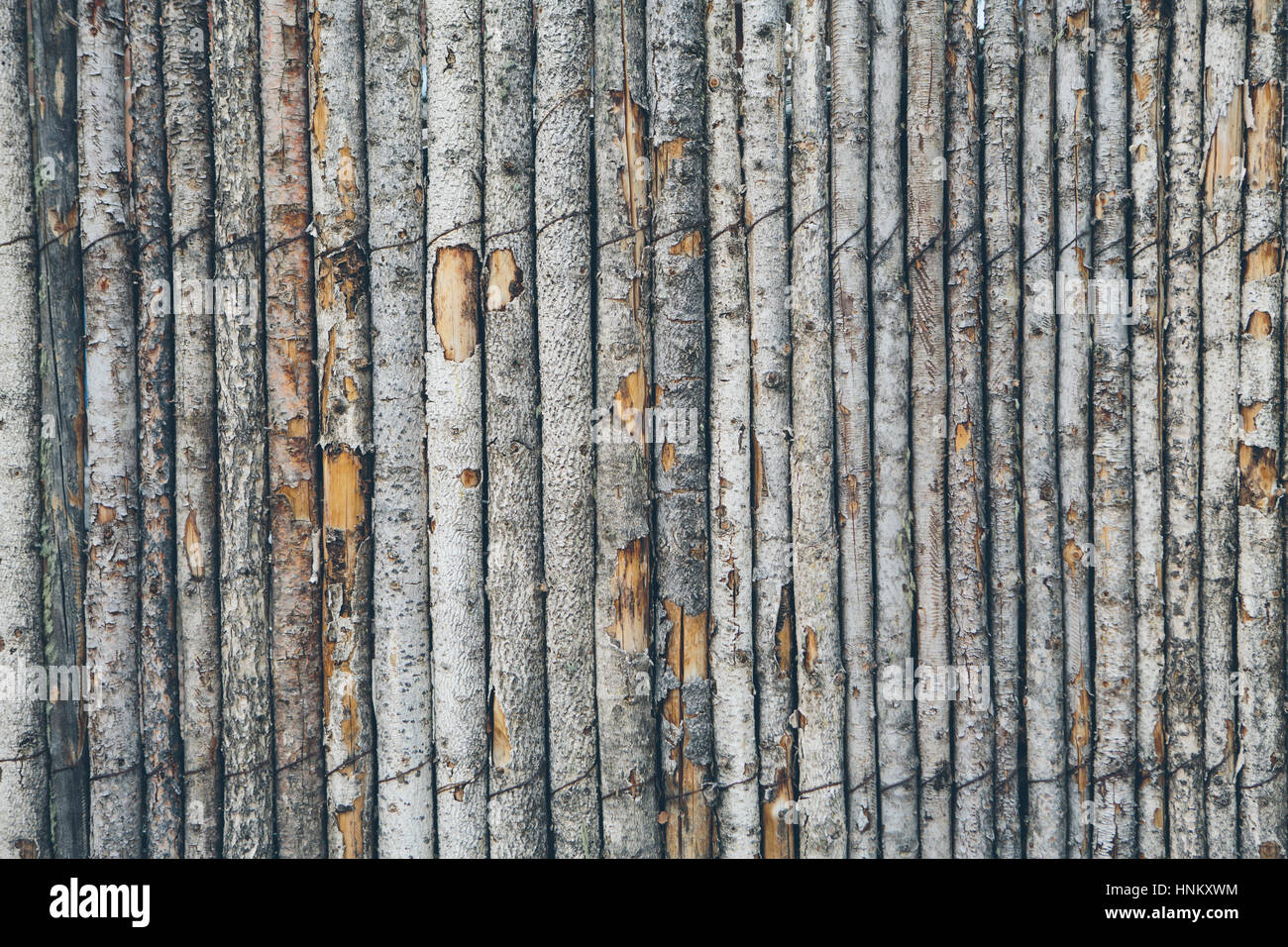 A fence made from tree trunks Stock Photo - Alamy