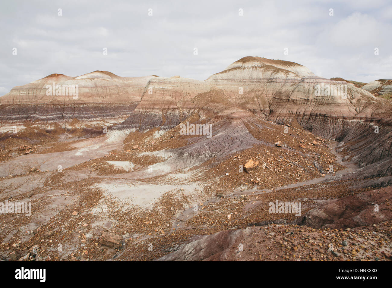 Elevated view of the Painted Desert rock formations in the Petrified ...