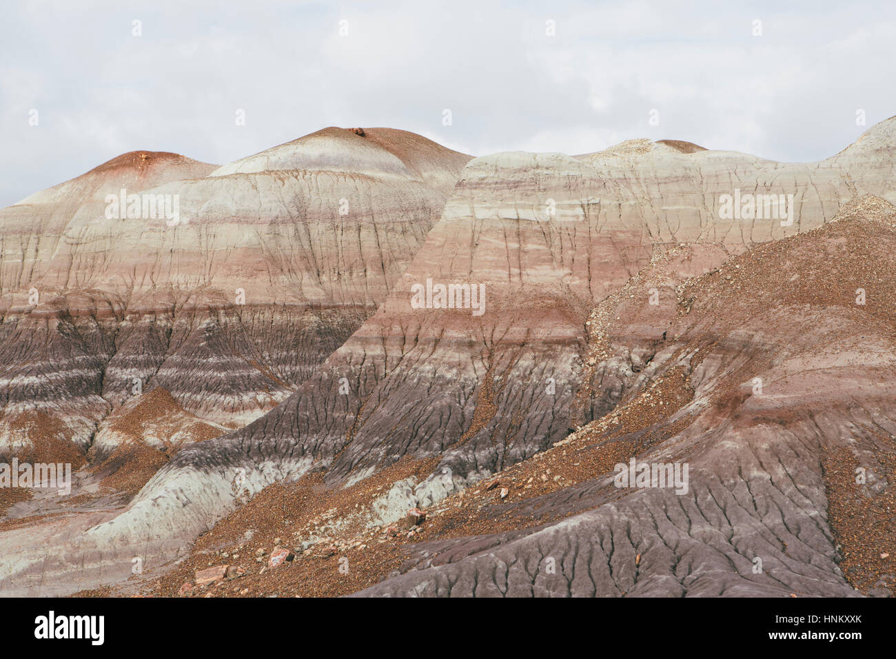 The coloured strata of the Painted Desert rock formations in the ...