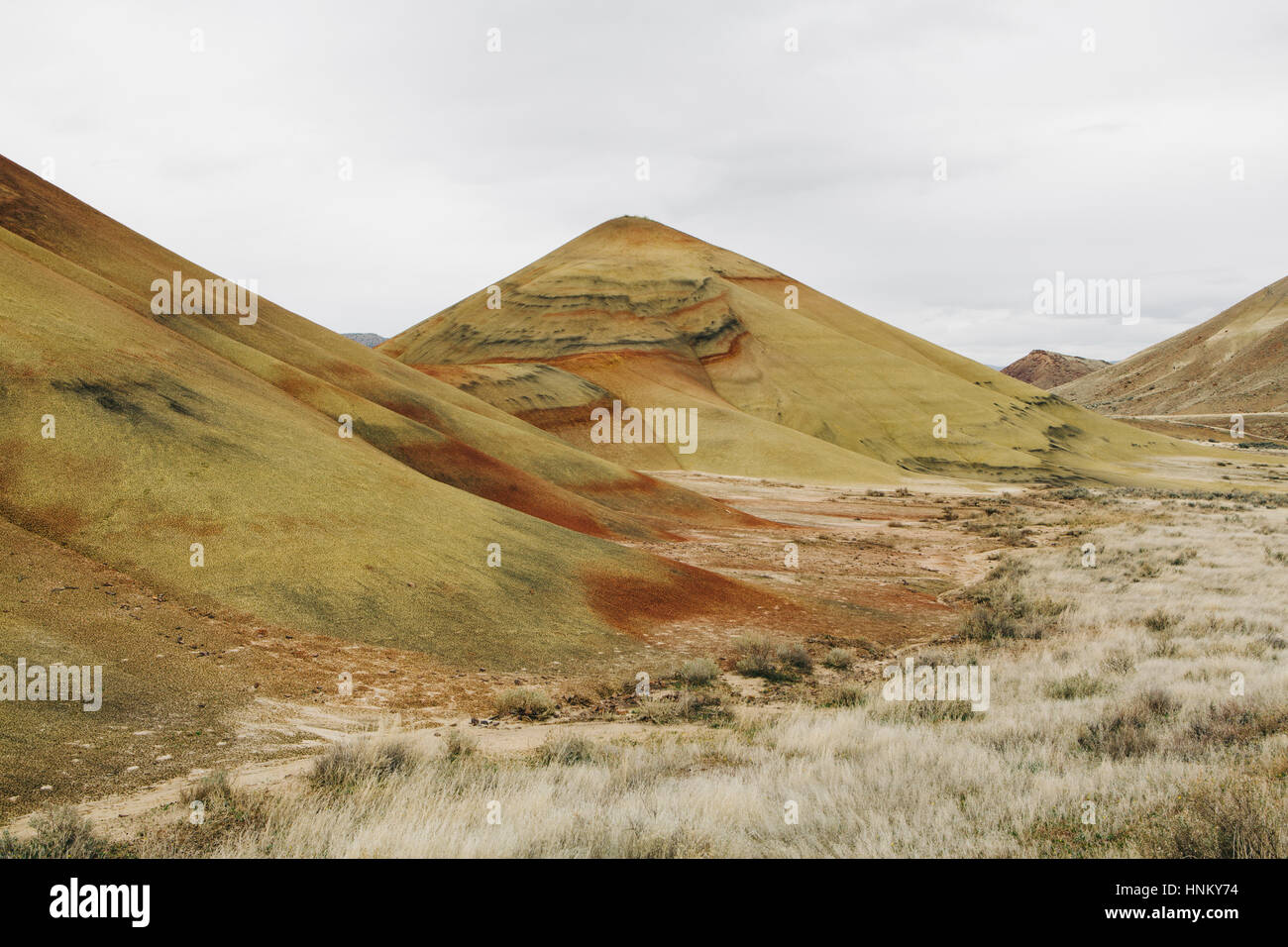 The Painted Hills desert and landscape, coloured layered geological ...