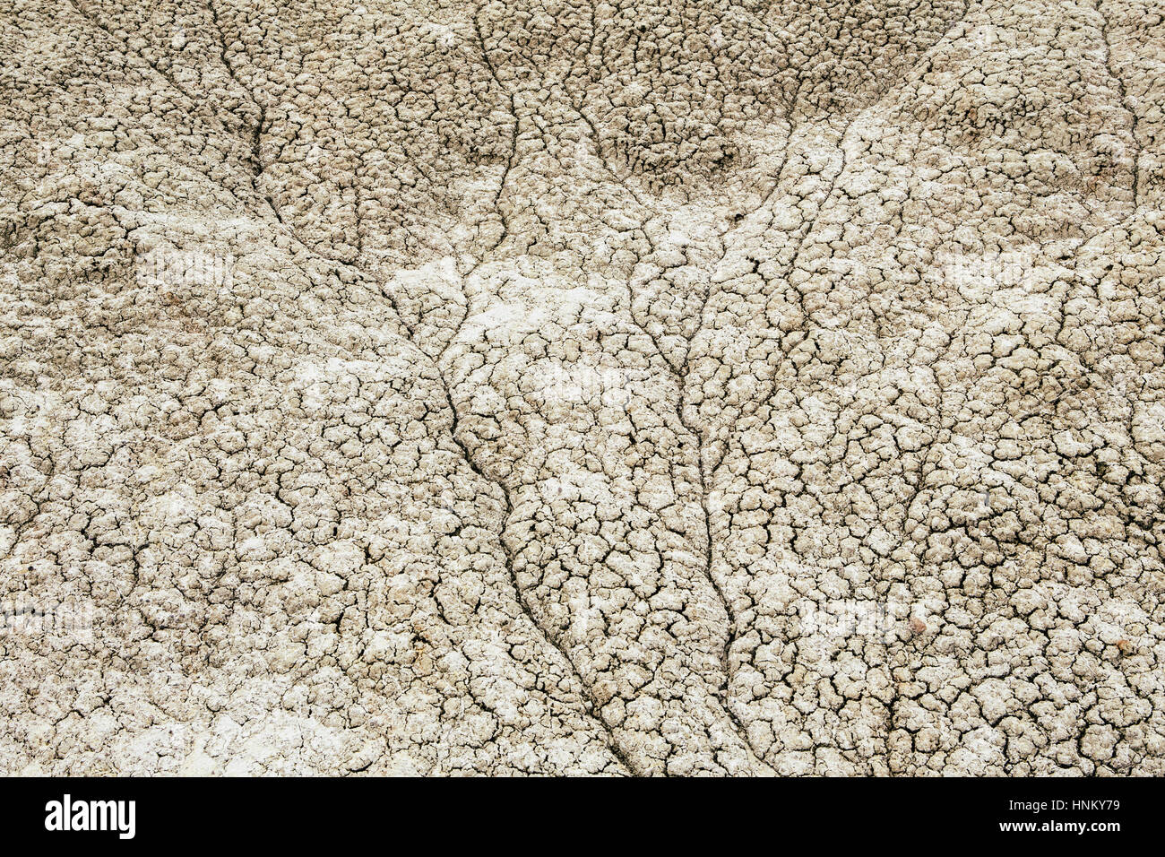 Parched soil hi-res stock photography and images - Alamy