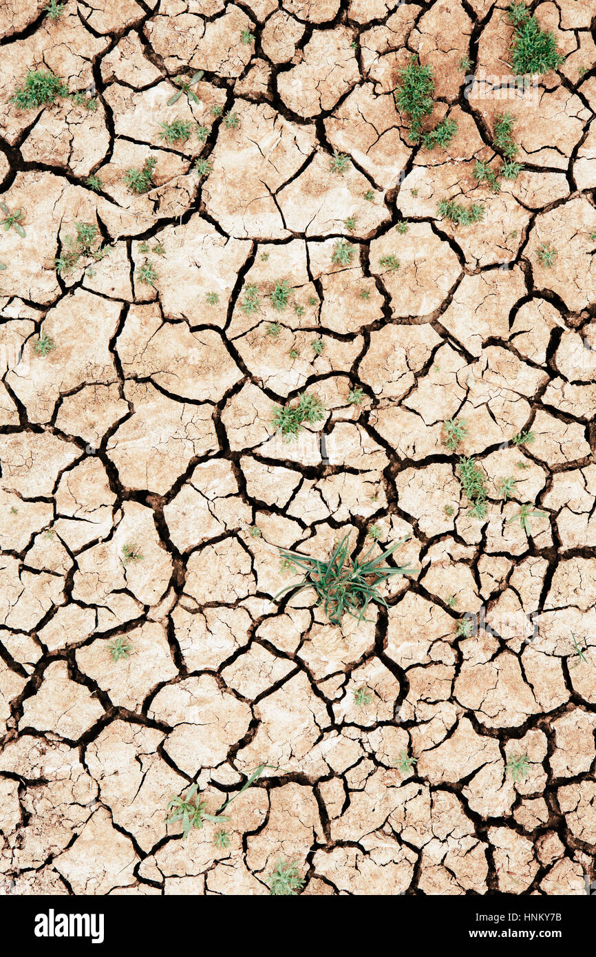 Parched soil hi-res stock photography and images - Alamy