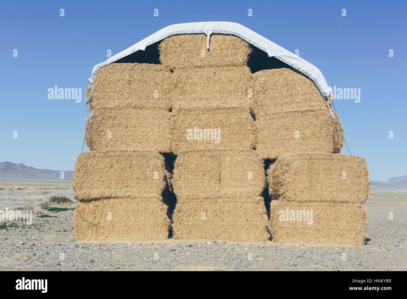 Covering of hay hi-res stock photography and images - Alamy