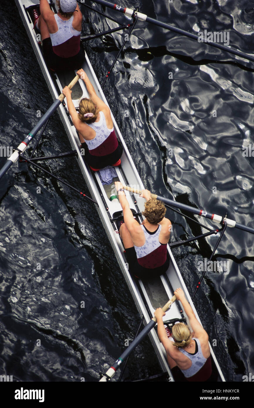 Overhead view of female crew racers rowing scull boat Stock Photo - Alamy