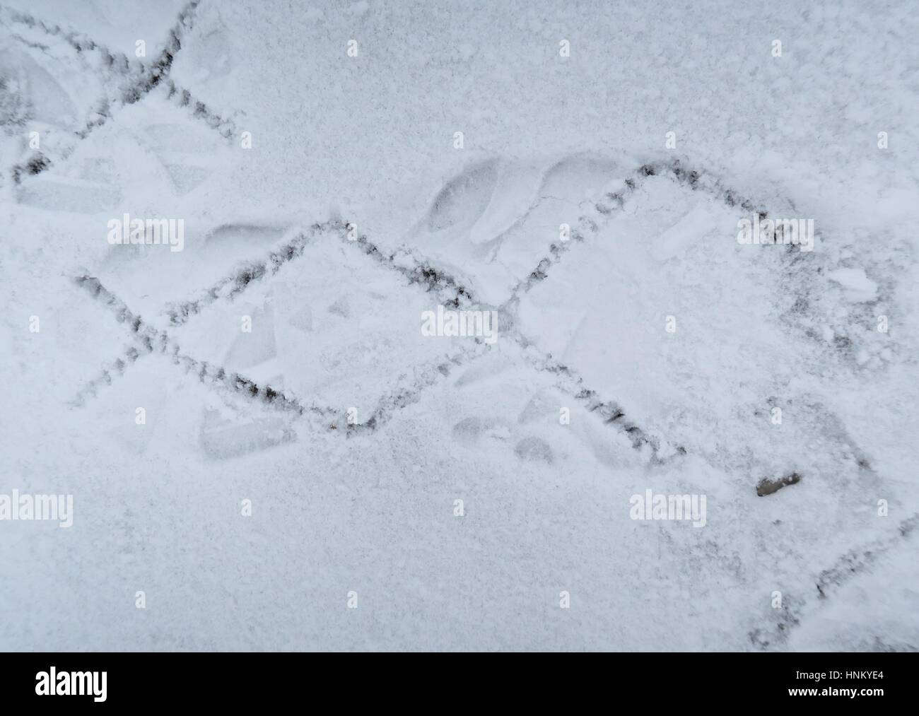 Close-up view of footprints from tracking boots with extra grip left on ...