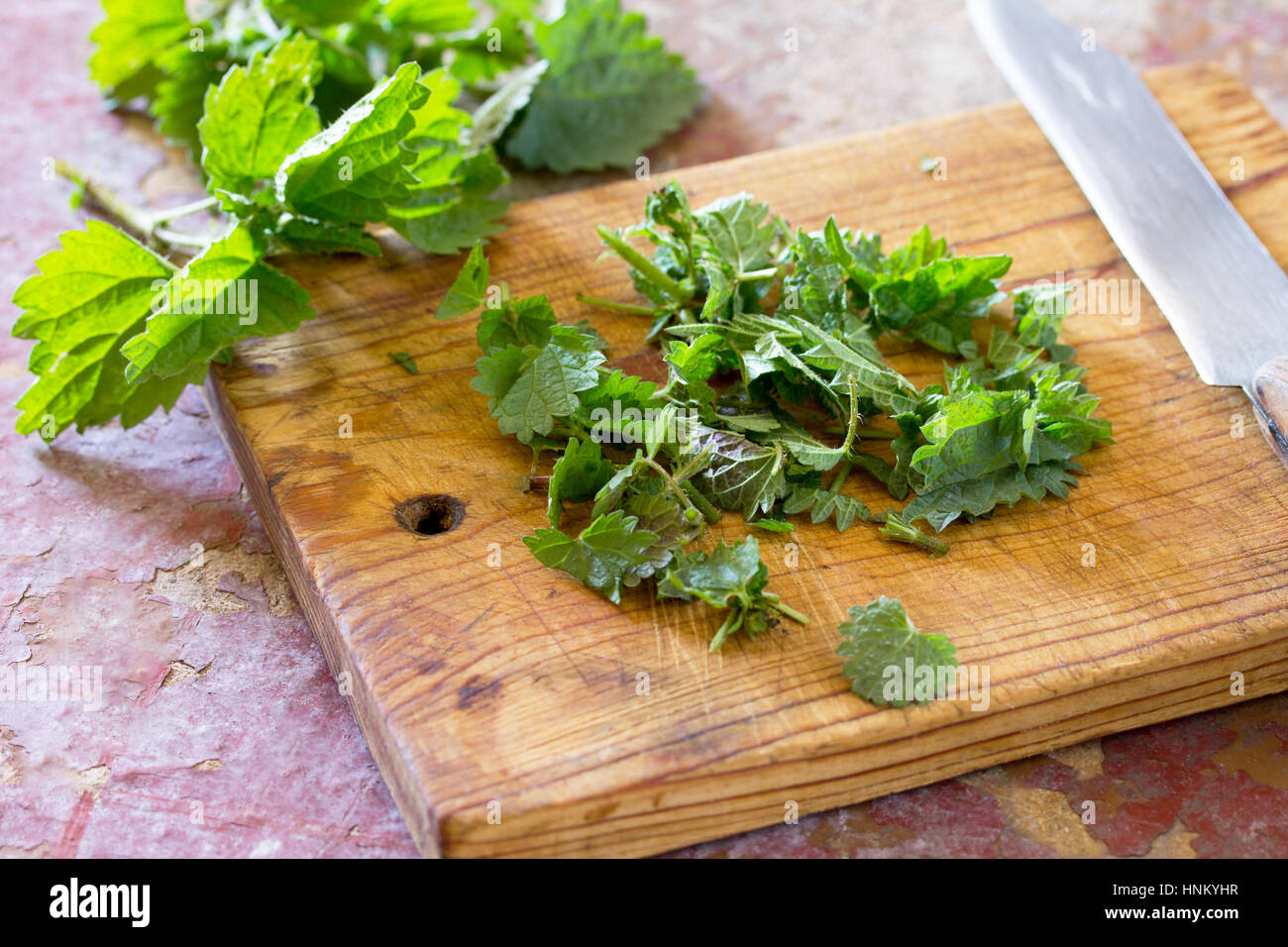 Medicinal plant fresh leaves of nettles, selective focus. Fresh nettle ...