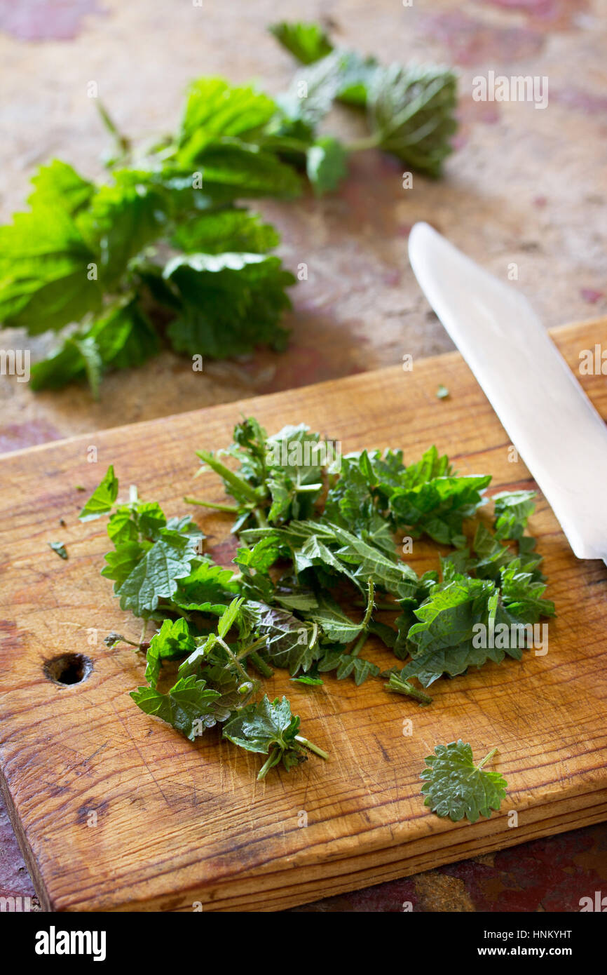 Medicinal plant fresh leaves of nettles, selective focus. Fresh nettle ...