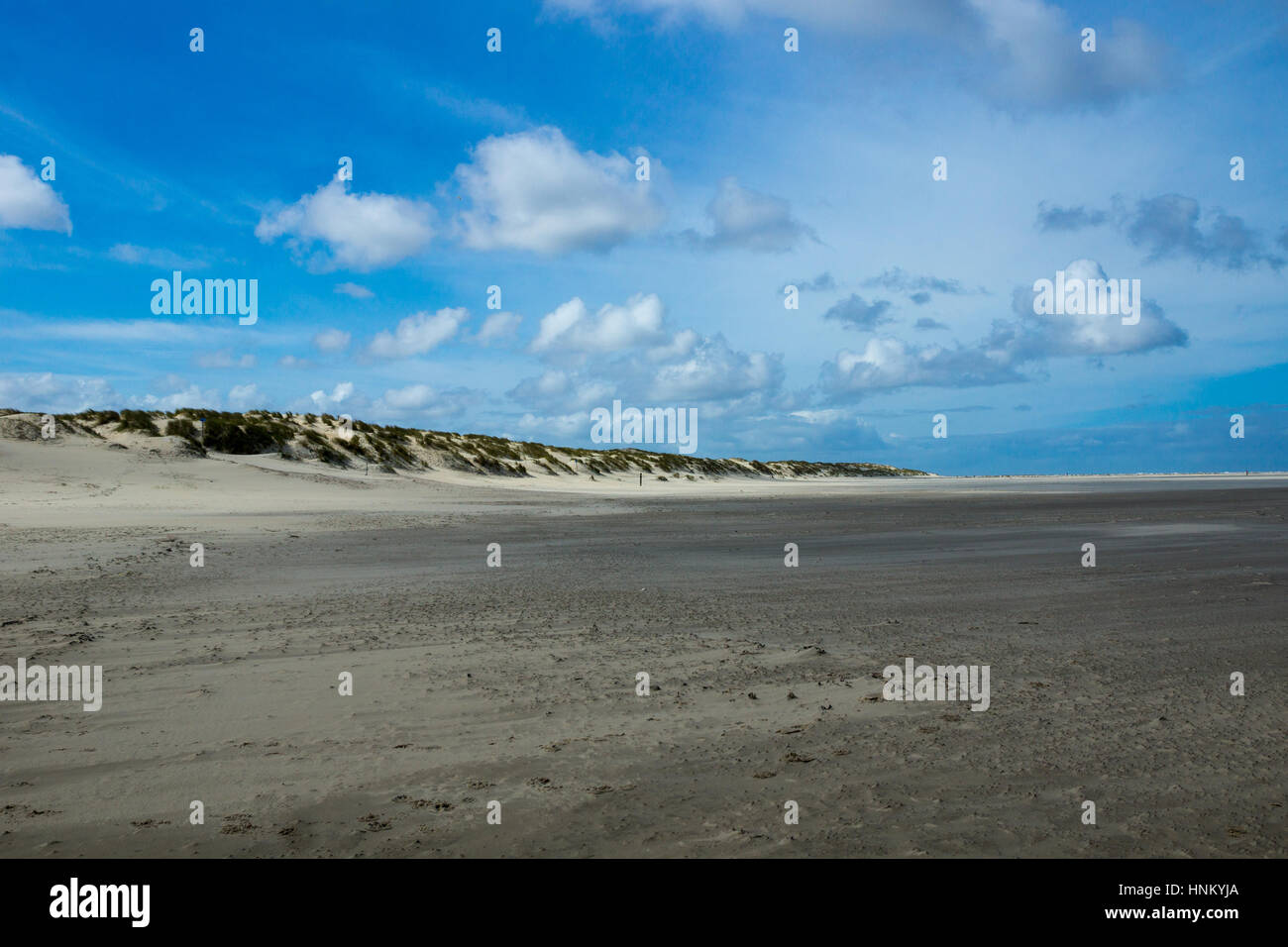 Texel Island, the Netherlands Stock Photo - Alamy