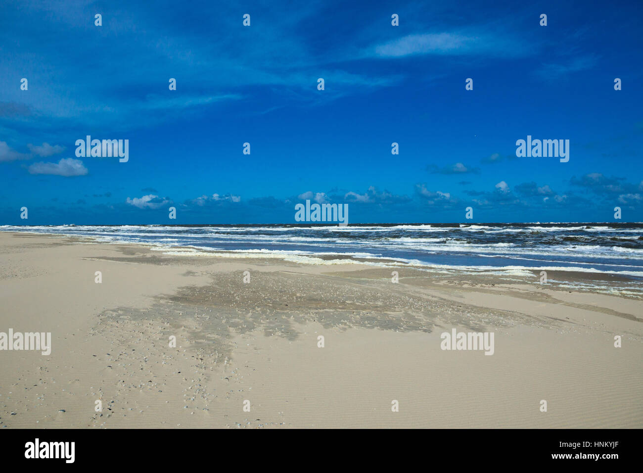 Texel Island, the Netherlands Stock Photo - Alamy
