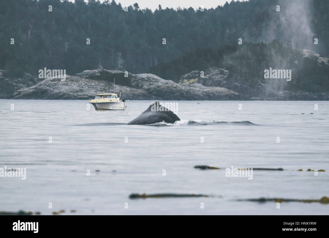 Fishing in the juan de fuca strait hi-res stock photography and images ...