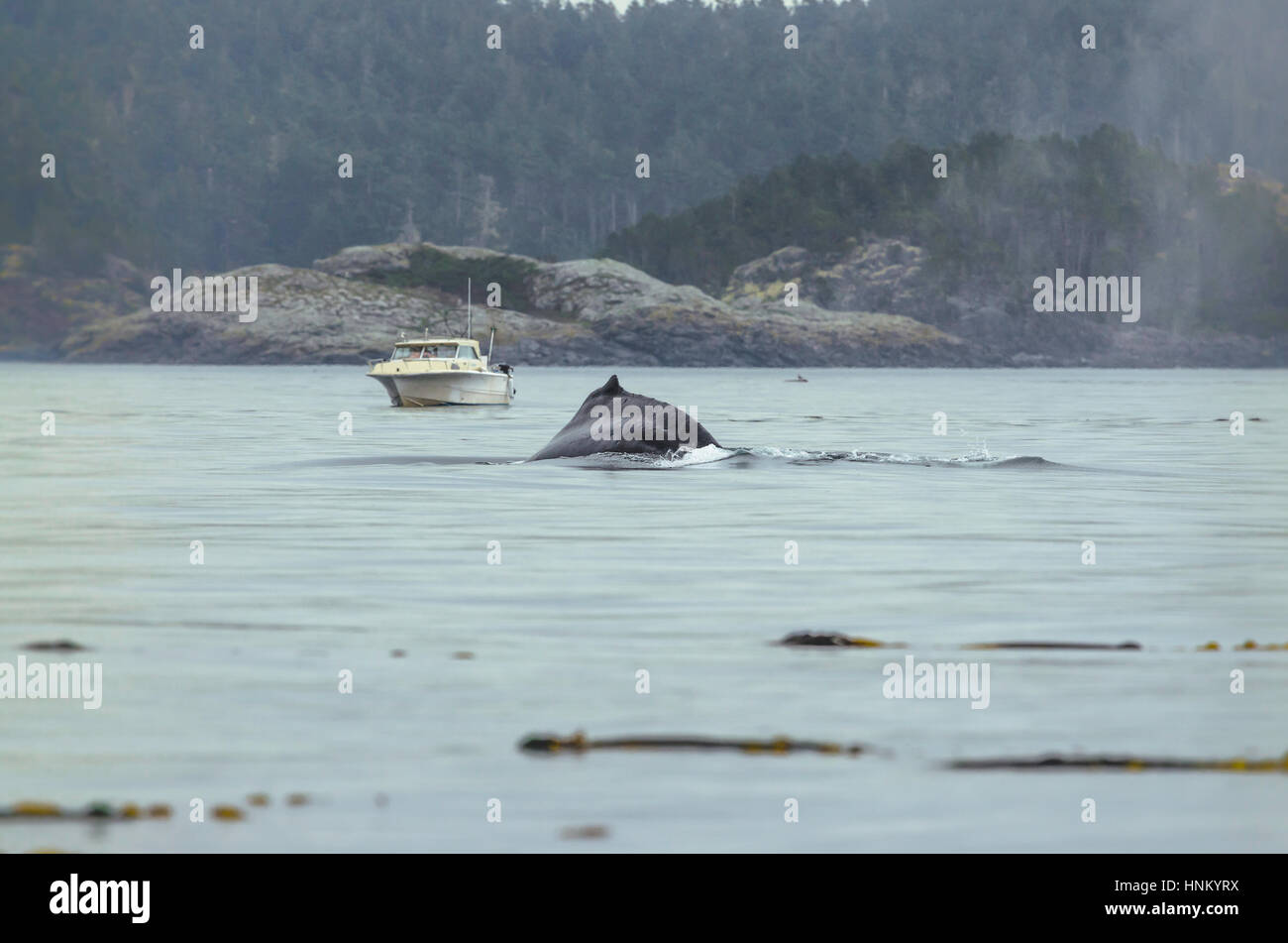 Fishing in the juan de fuca strait hi-res stock photography and images ...