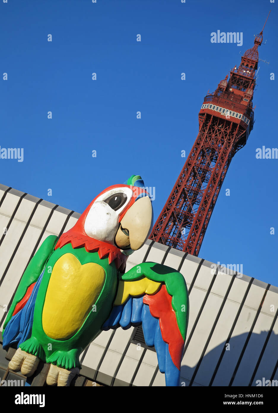 Parrot tower hi-res stock photography and images - Alamy