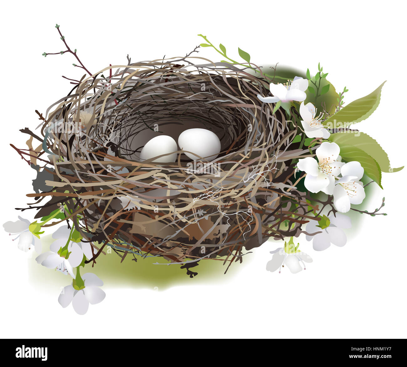 Bird's Nest with two white eggs, surrounded by spring flowers and green ...