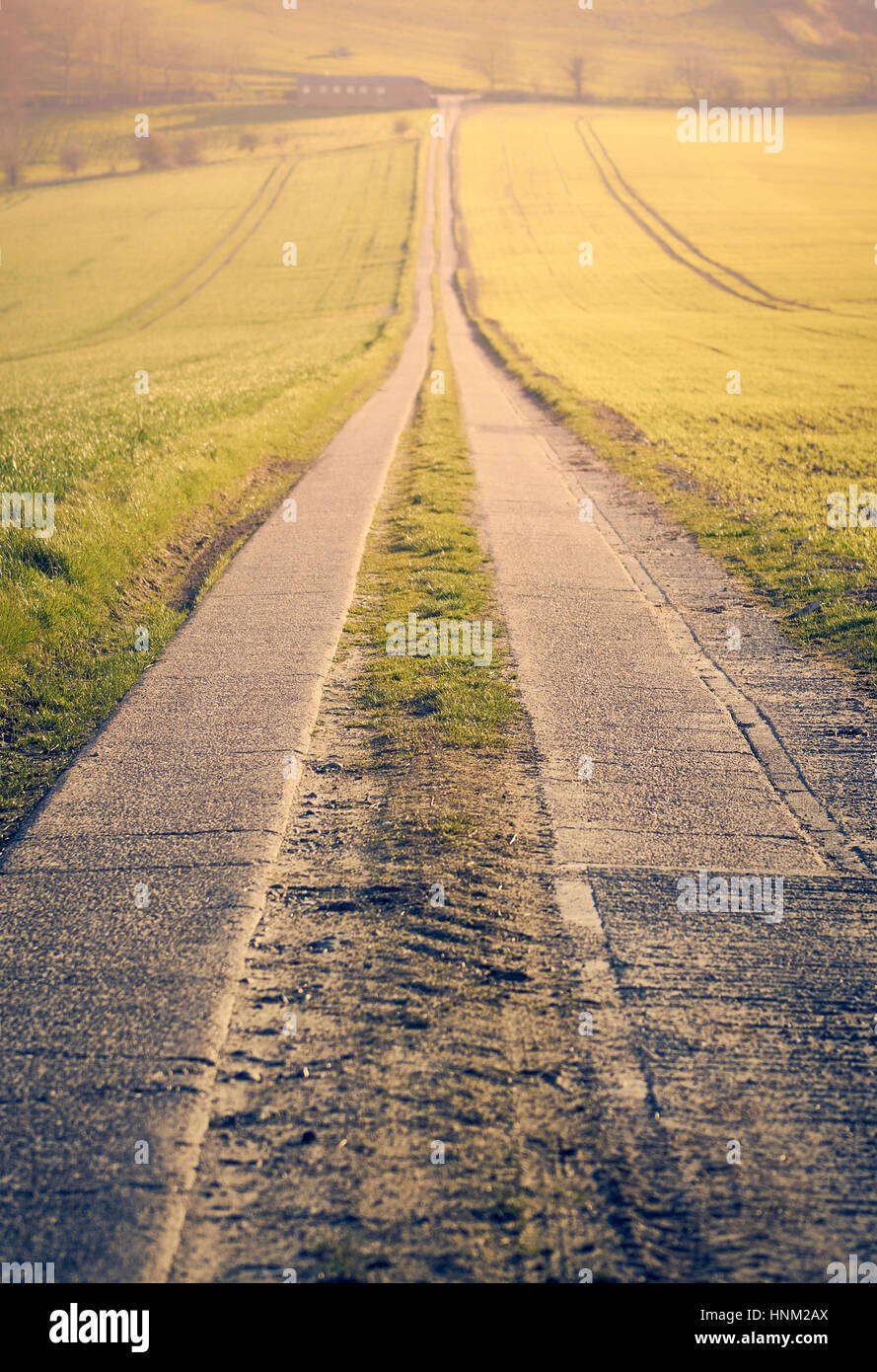 A long straight road leading to a vanishing point portrait format Stock ...