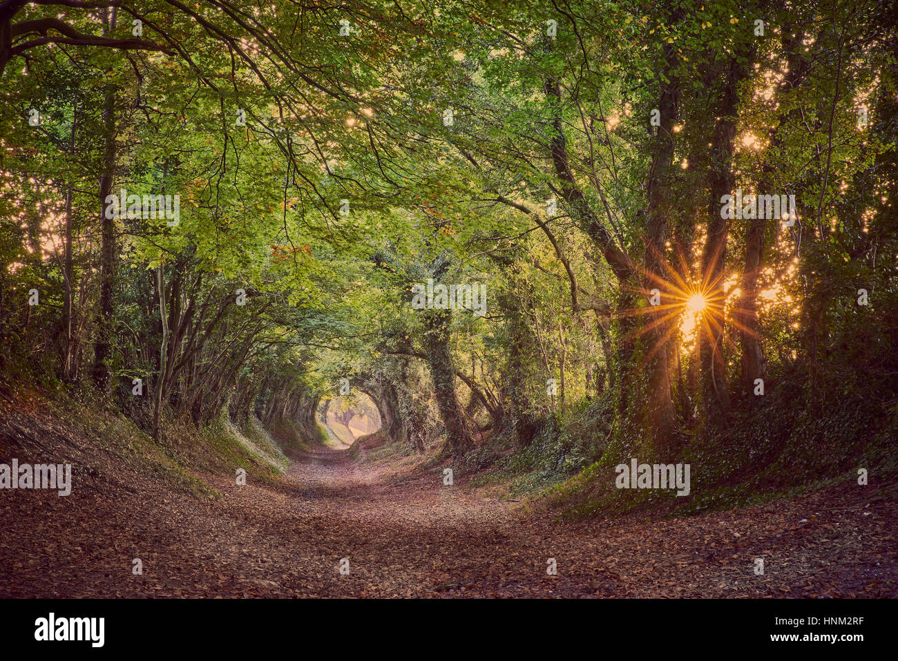 Halnaker landscape hi-res stock photography and images - Alamy