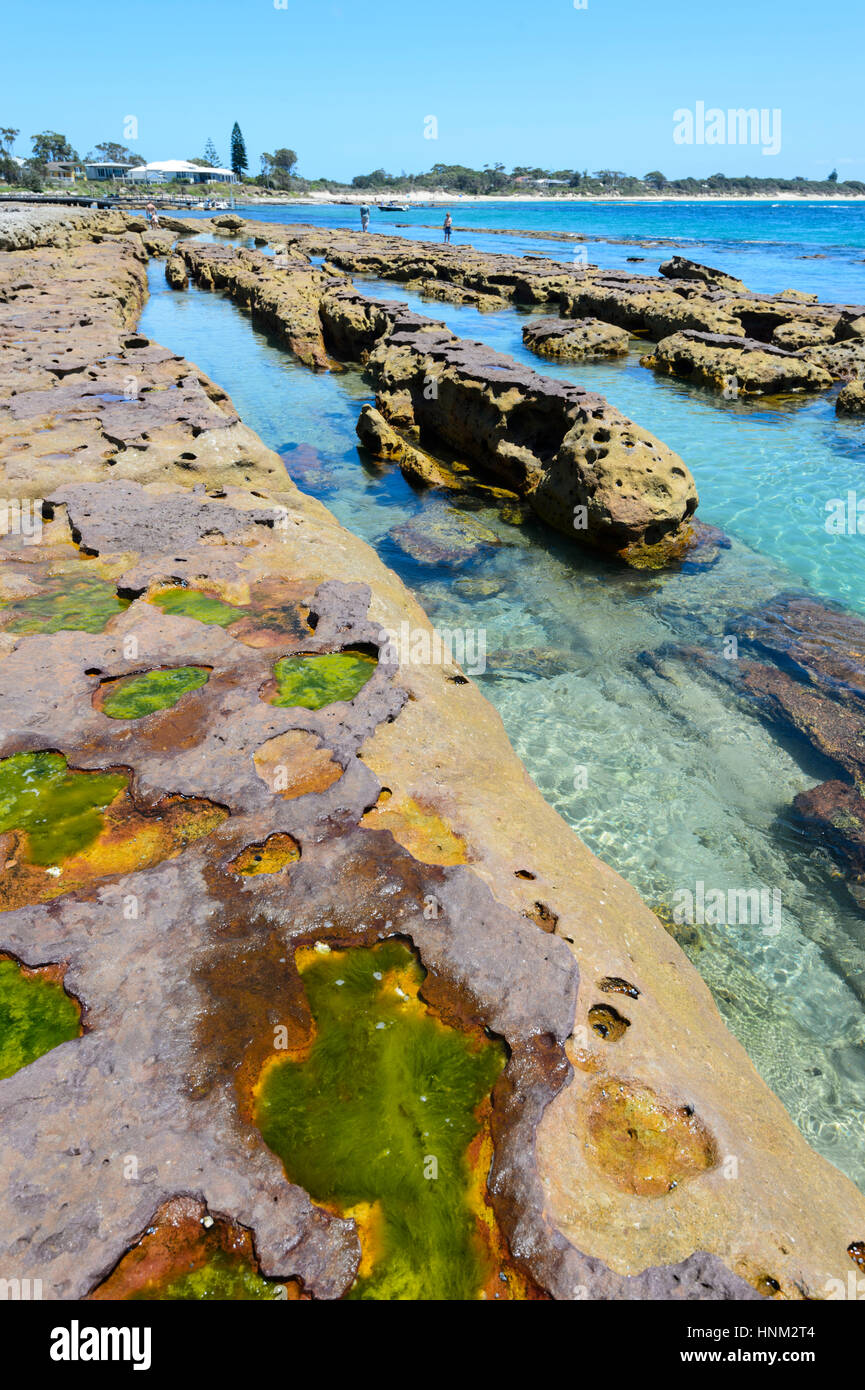 Natural rock pools made of sandstone at the scenic beach of Currarong ...