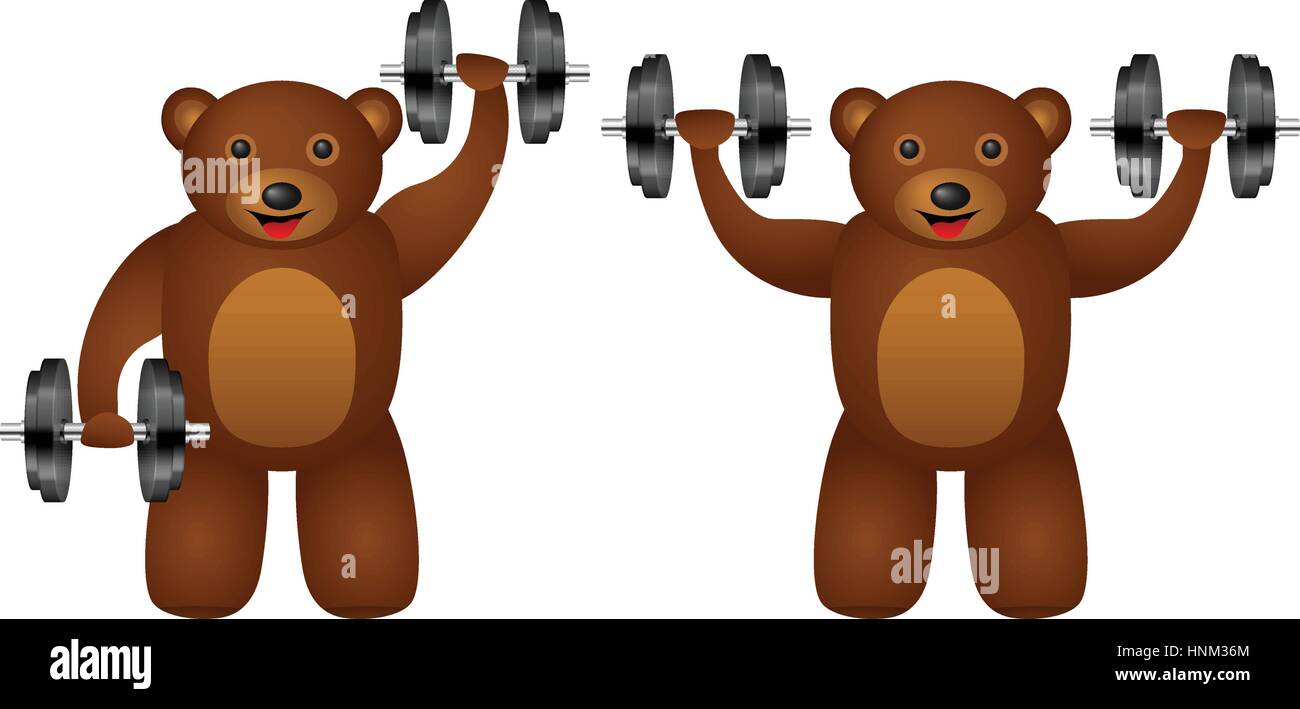 training bear set on a white background. Vector illustration Stock ...