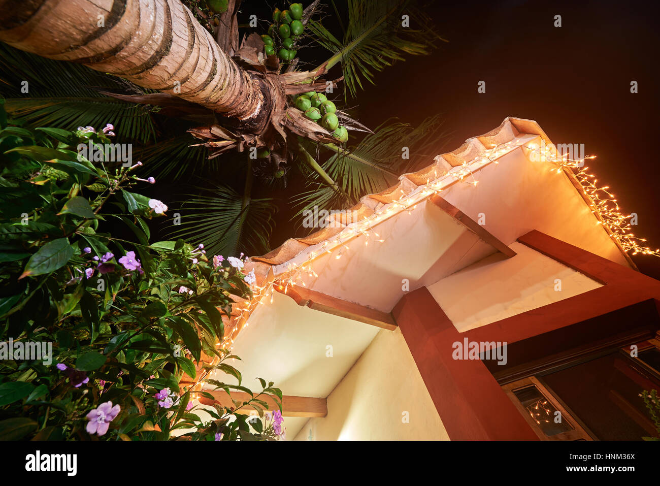 Palm tree christmas lights hi-res stock photography and images - Alamy