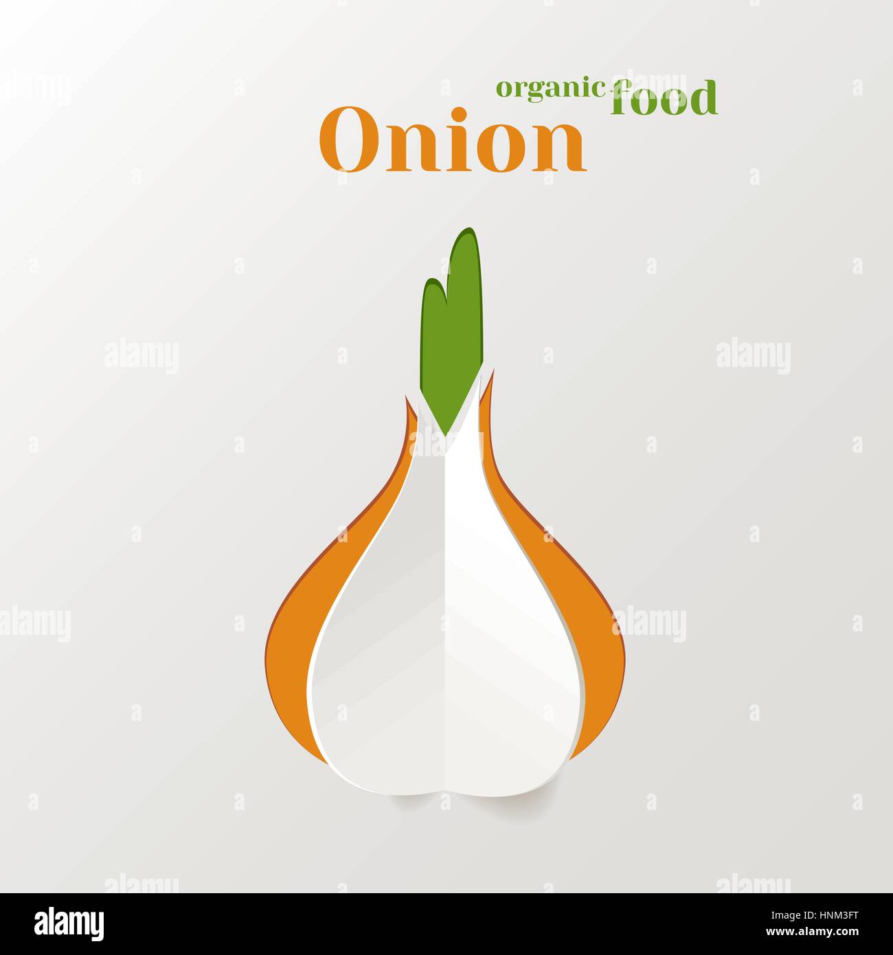 Abstract Vector Background with Paper Onion, Concept Organic Food Stock ...