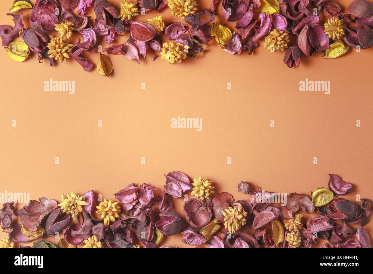 Dry flowers composition on colorful background. Border frame made of ...