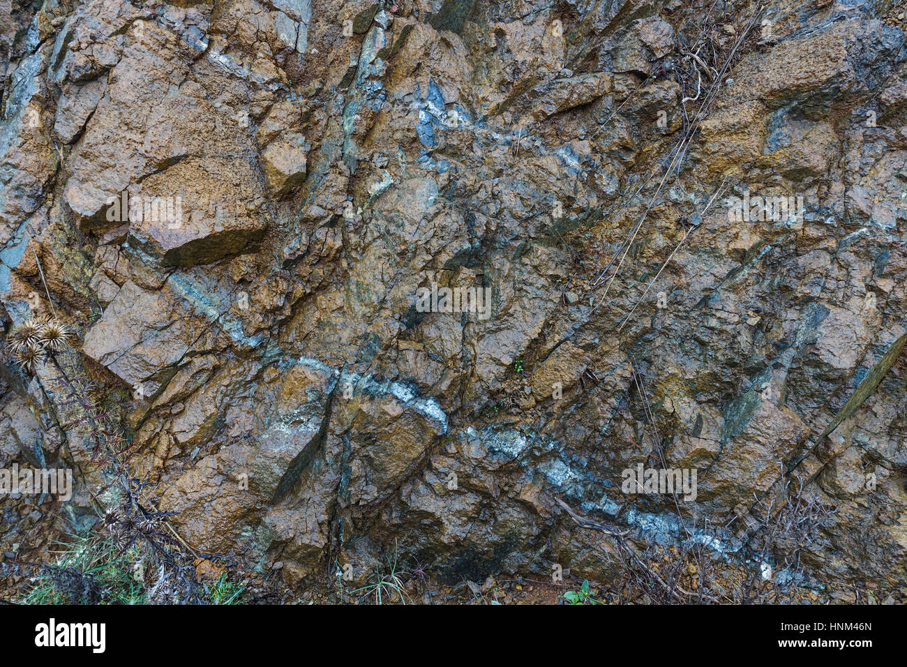 Veined rock hi-res stock photography and images - Alamy