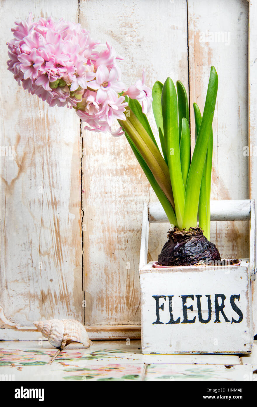 Elements vintage hi-res stock photography and images - Alamy