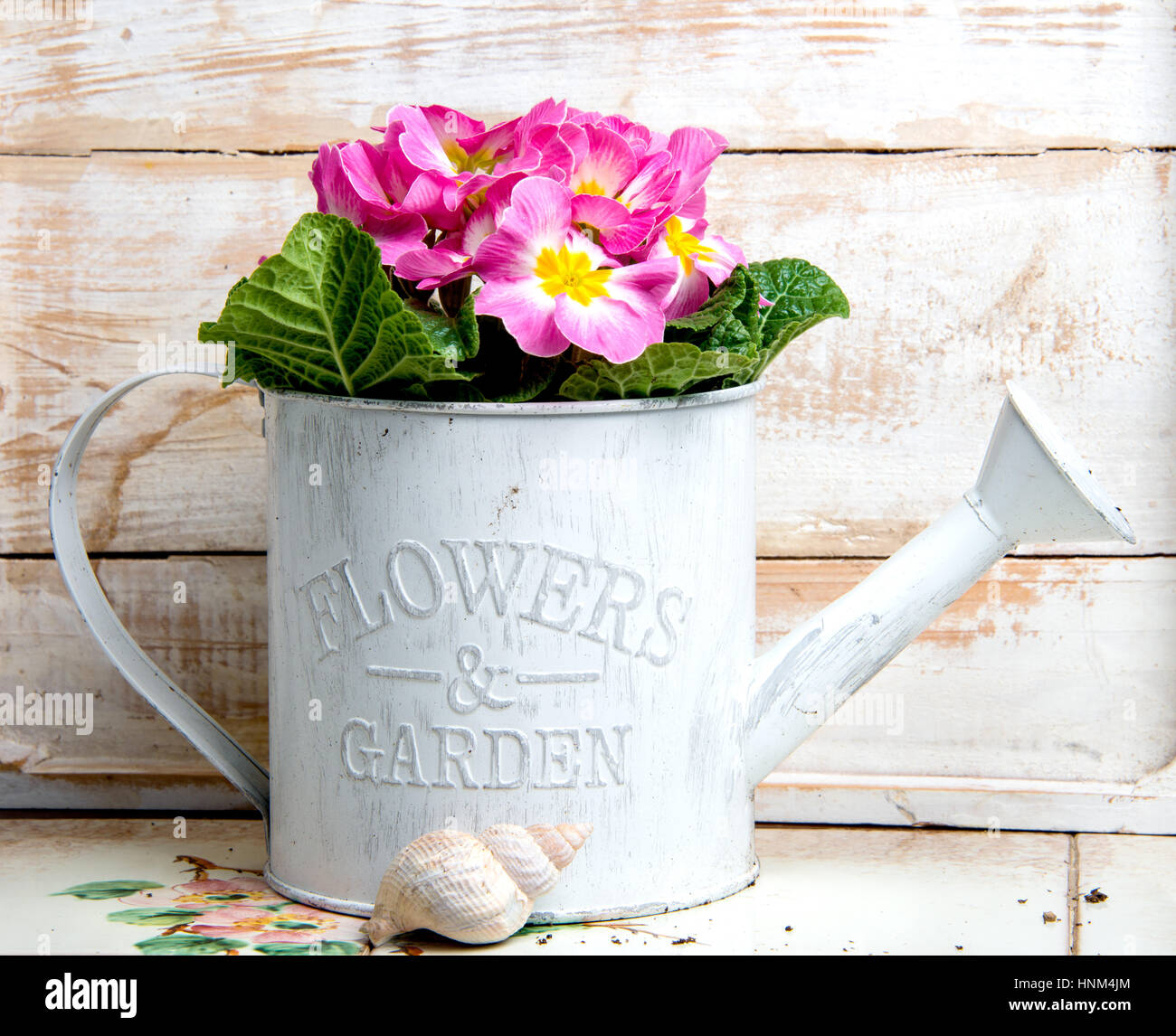 Flower pot on wooden background Stock Photo - Alamy