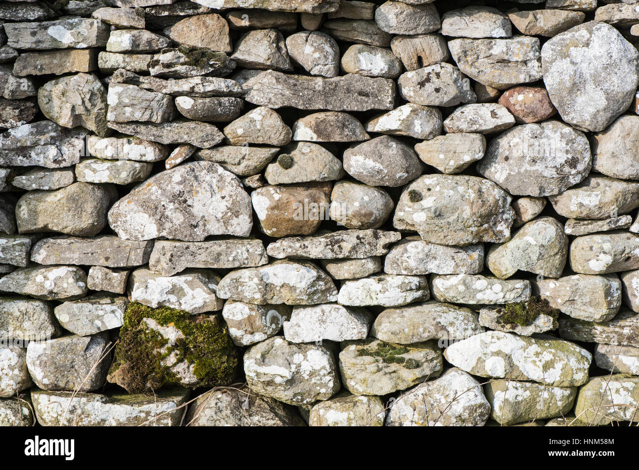 Limestone drystone wall, showing stones in a random pattern with little ...